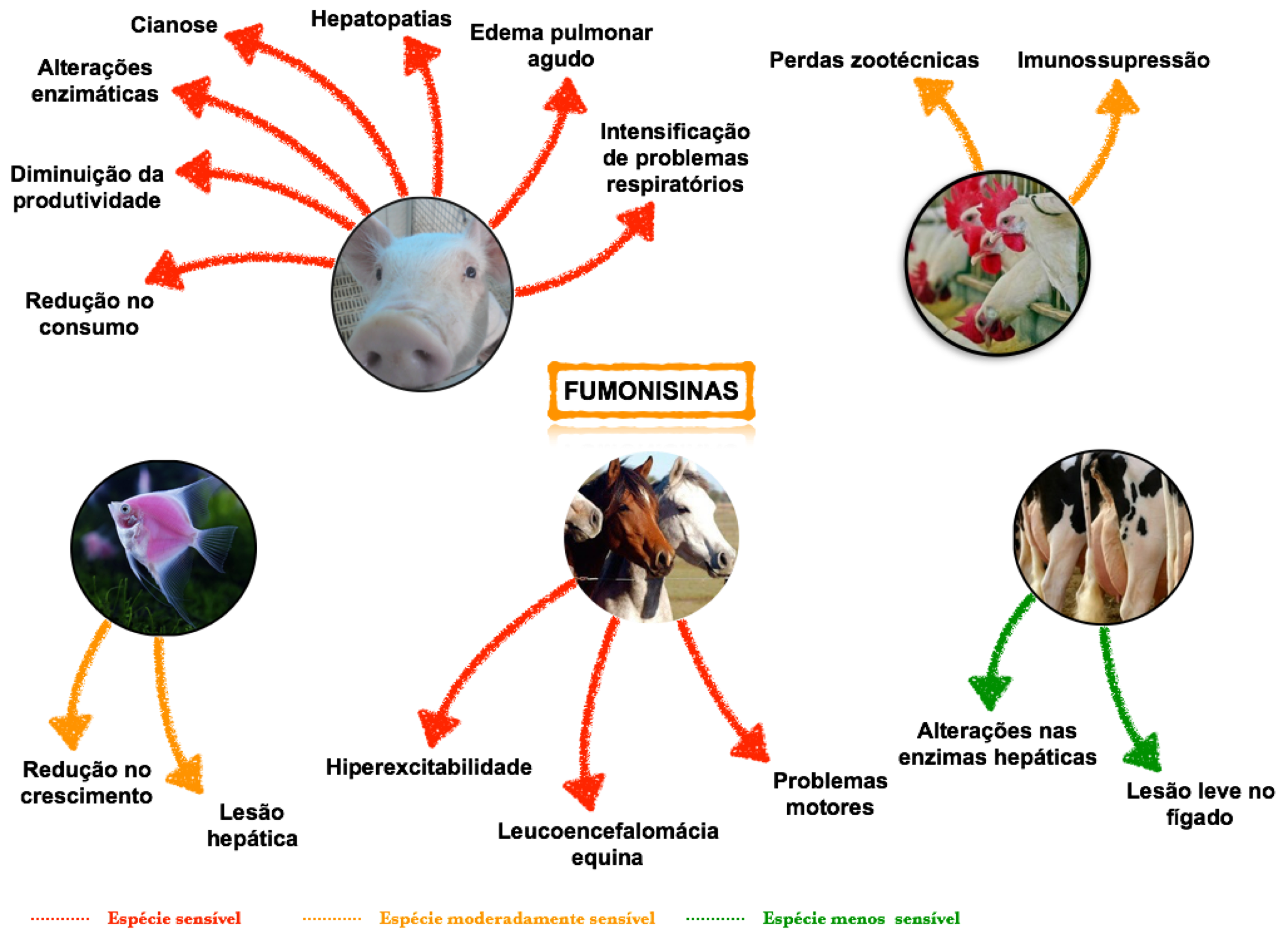 Pegasus Science - Inteligência em Micotoxinas - Fumonisinas